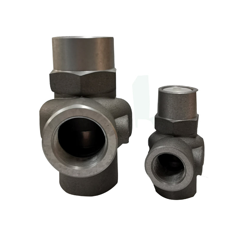 10 HP Minimum Pressure Check Valve
